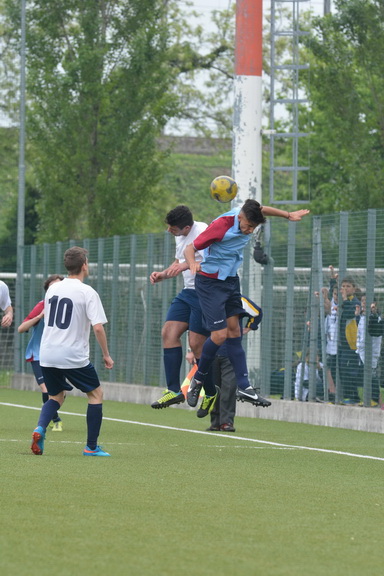POLISPORTIVA SEGRATE - Squadre